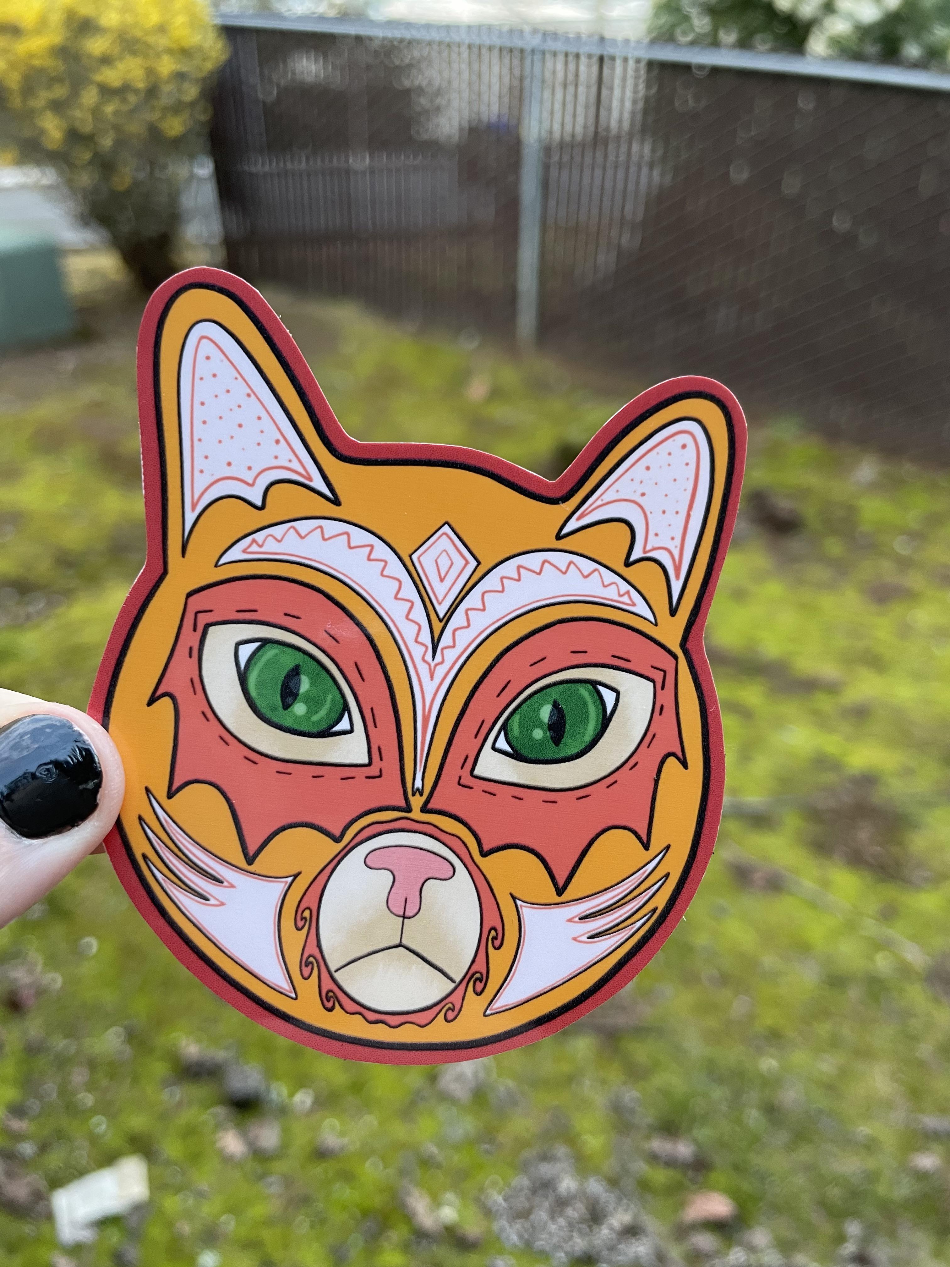 El gato Luchador | Scrolller