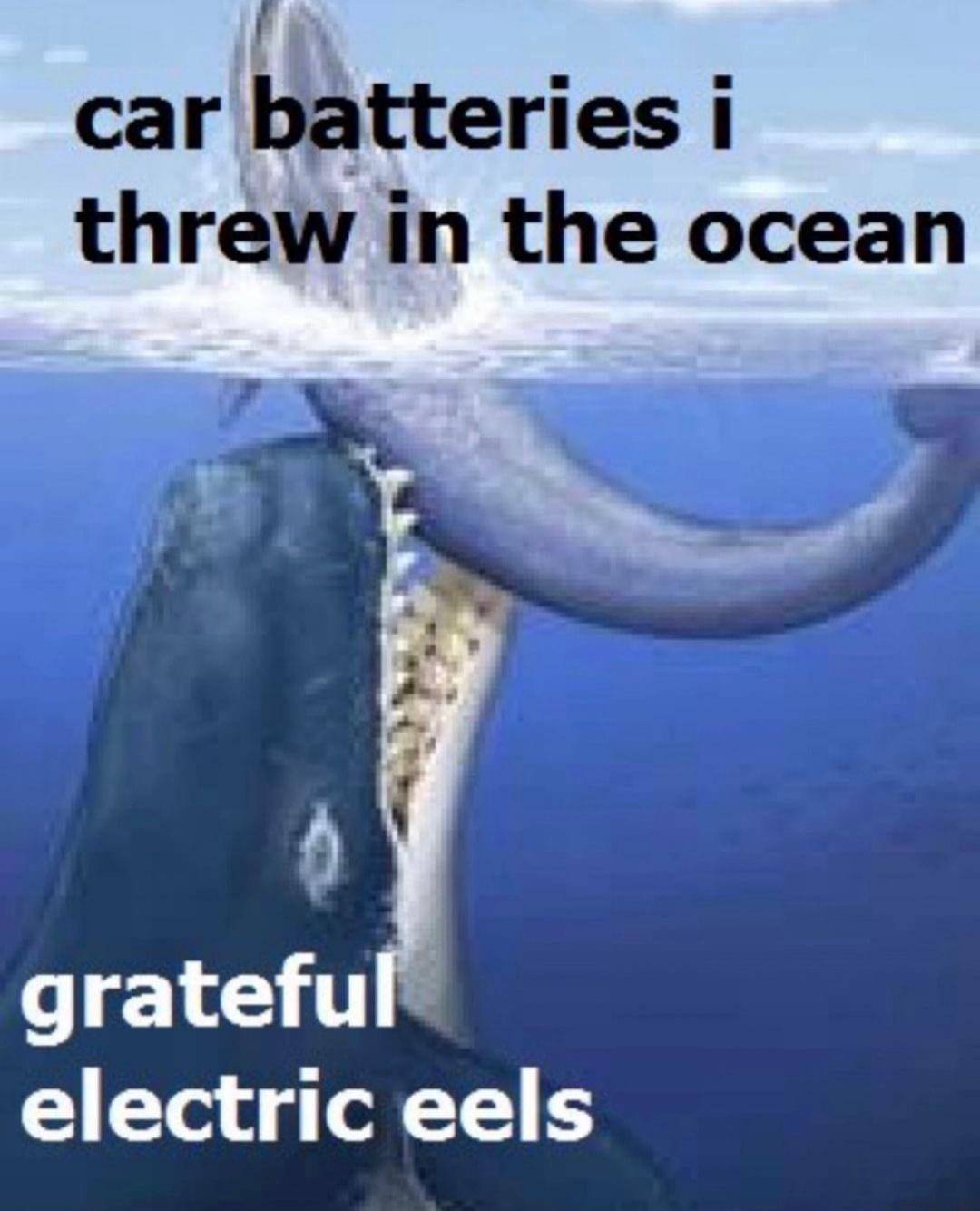 Electric Avenue | Scrolller