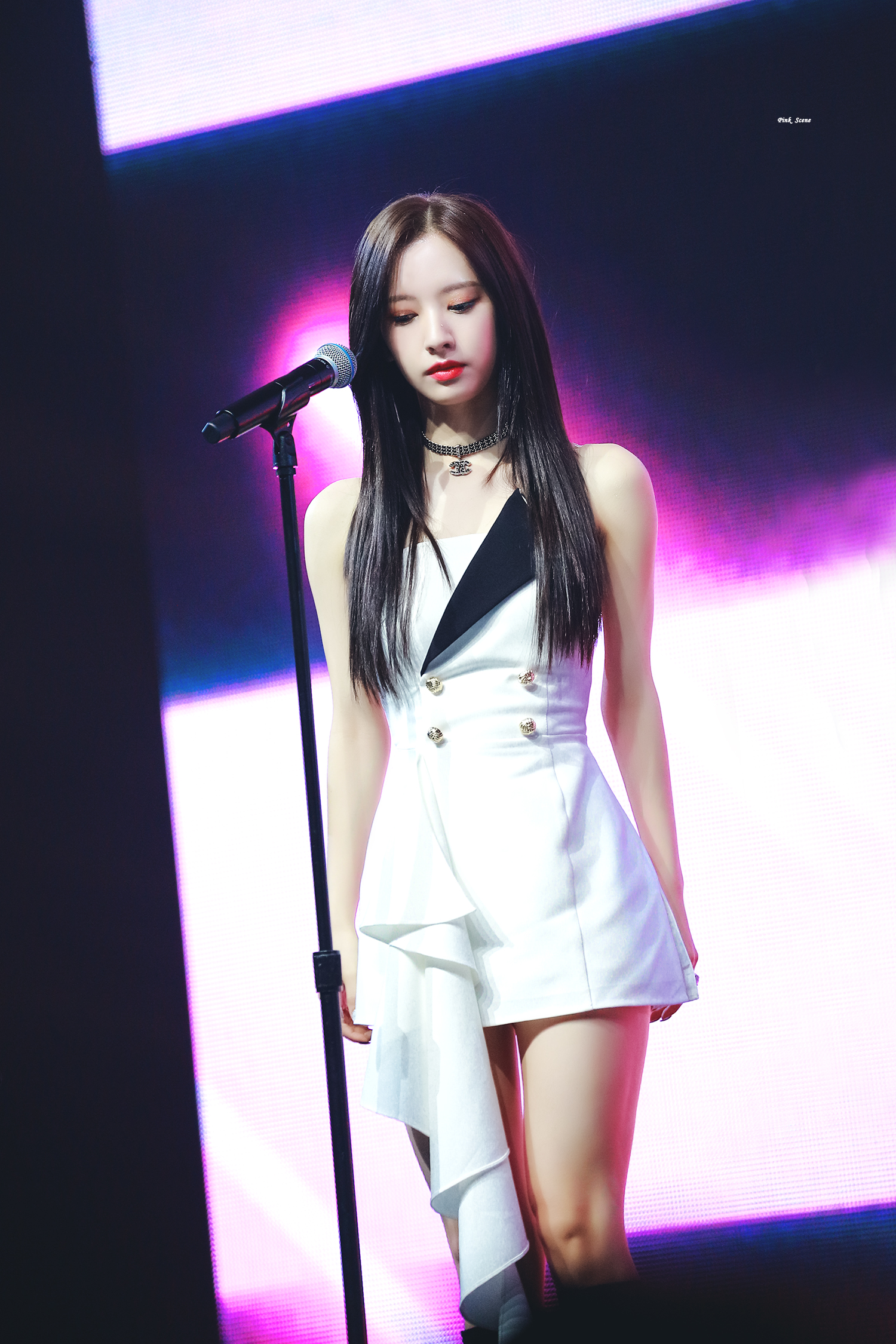 Elegant Bona | Scrolller