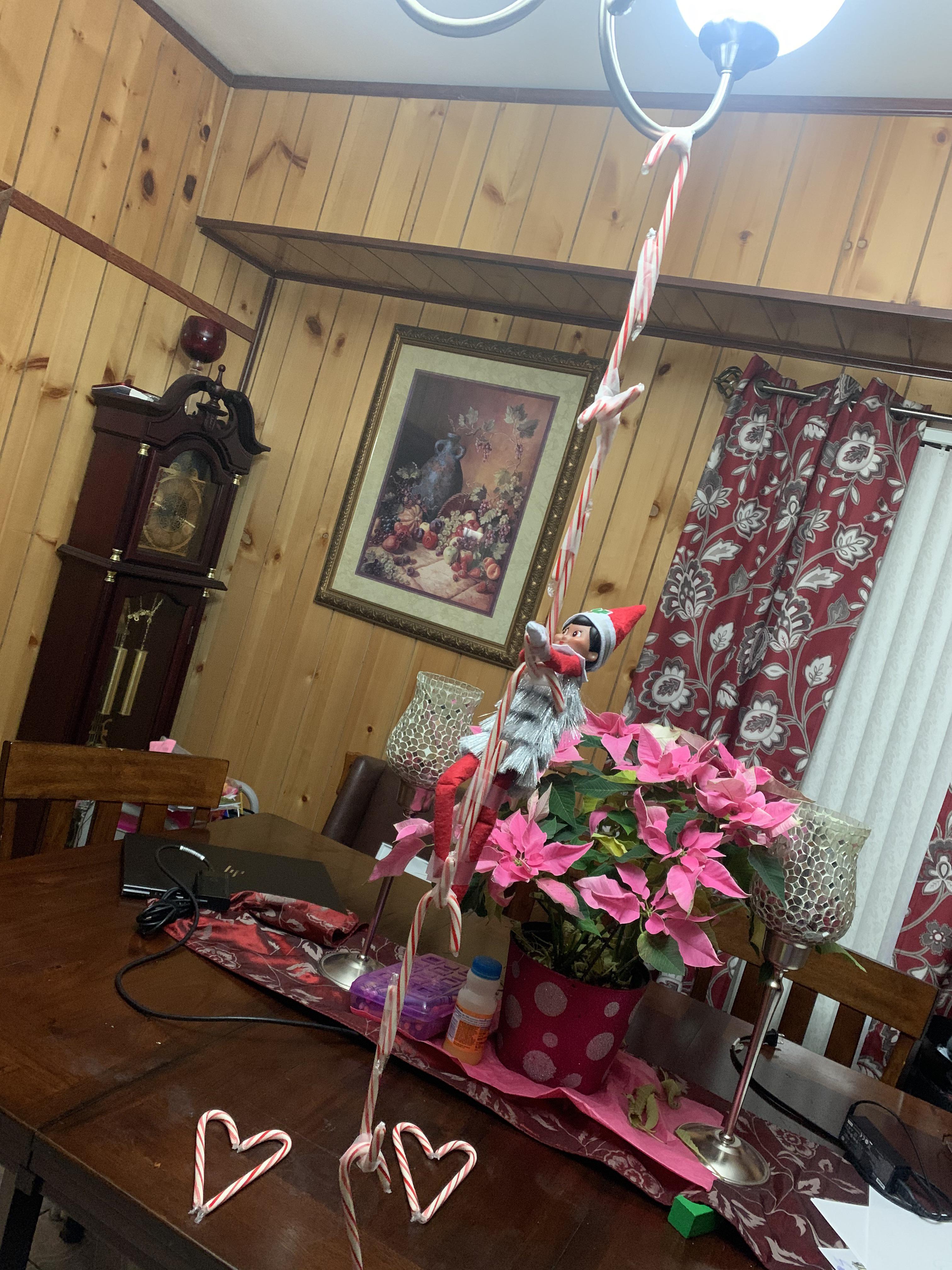 Elf climbing! | Scrolller