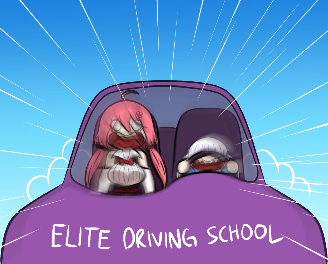 Elite Driving School | Scrolller