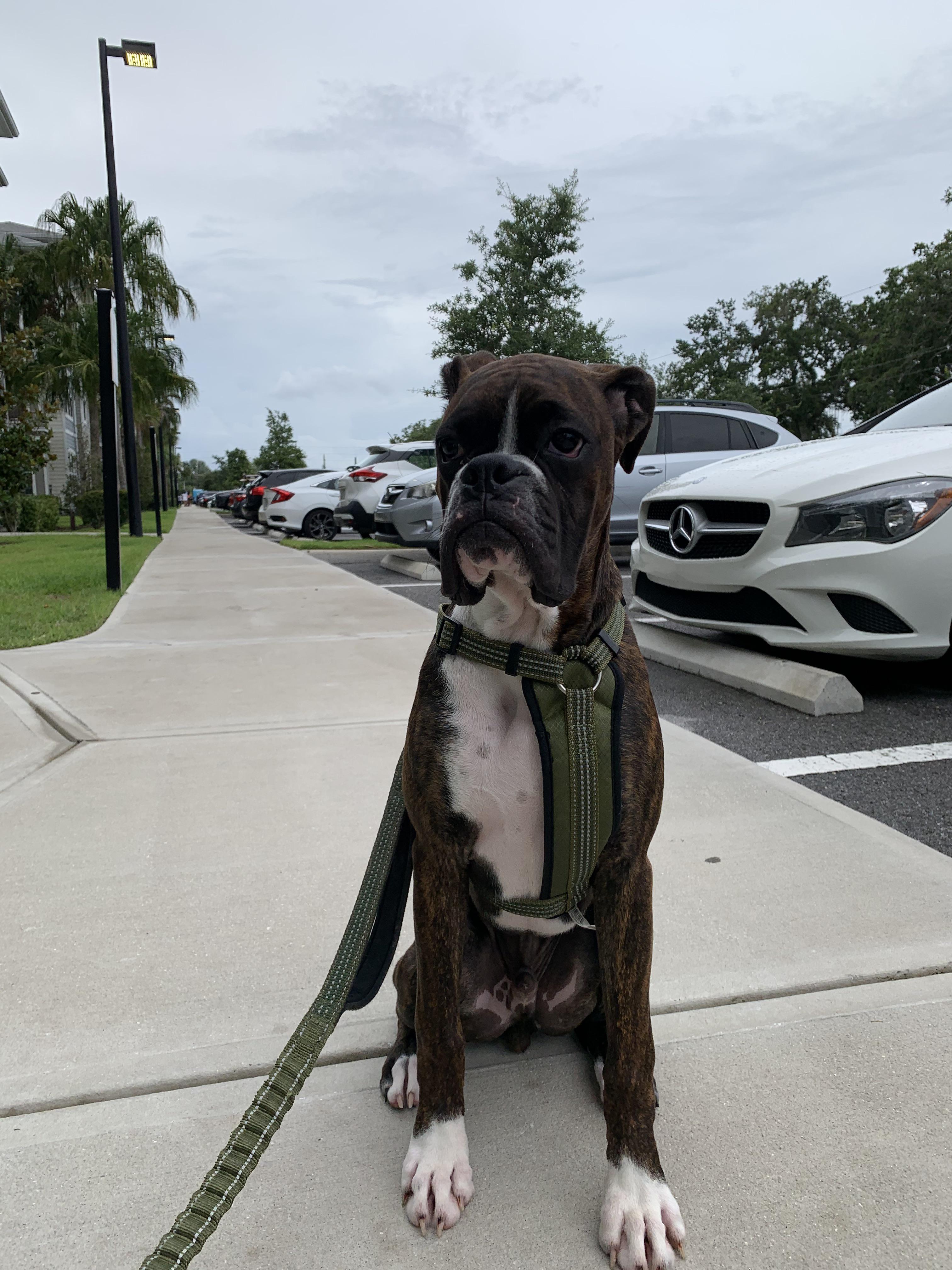 Elliot has his listening ears on! | Scrolller