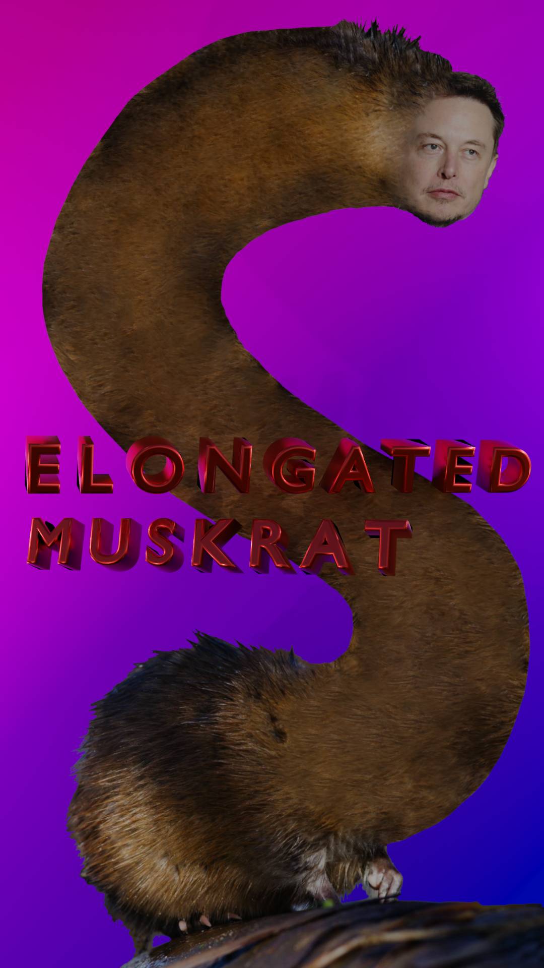 Elon's true form | Scrolller