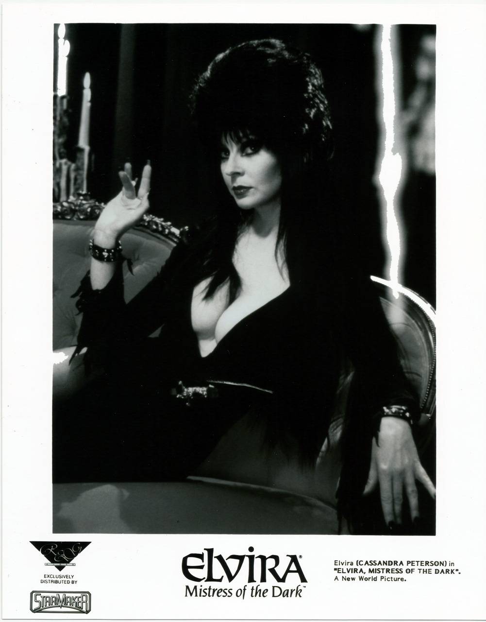 Elvira Mistress Of The Dark press still | Scrolller