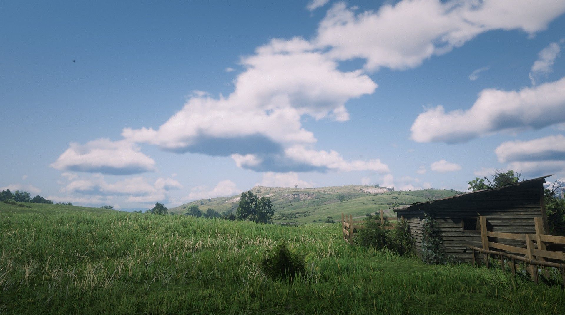 Emerald Ranch | Scrolller