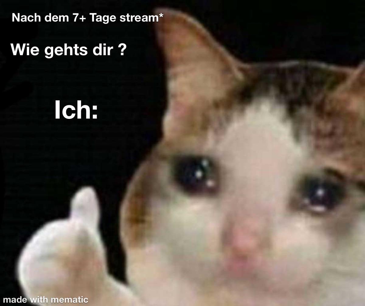 Es wird so sein (Toni Stream einfach weiter danke) | Scrolller
