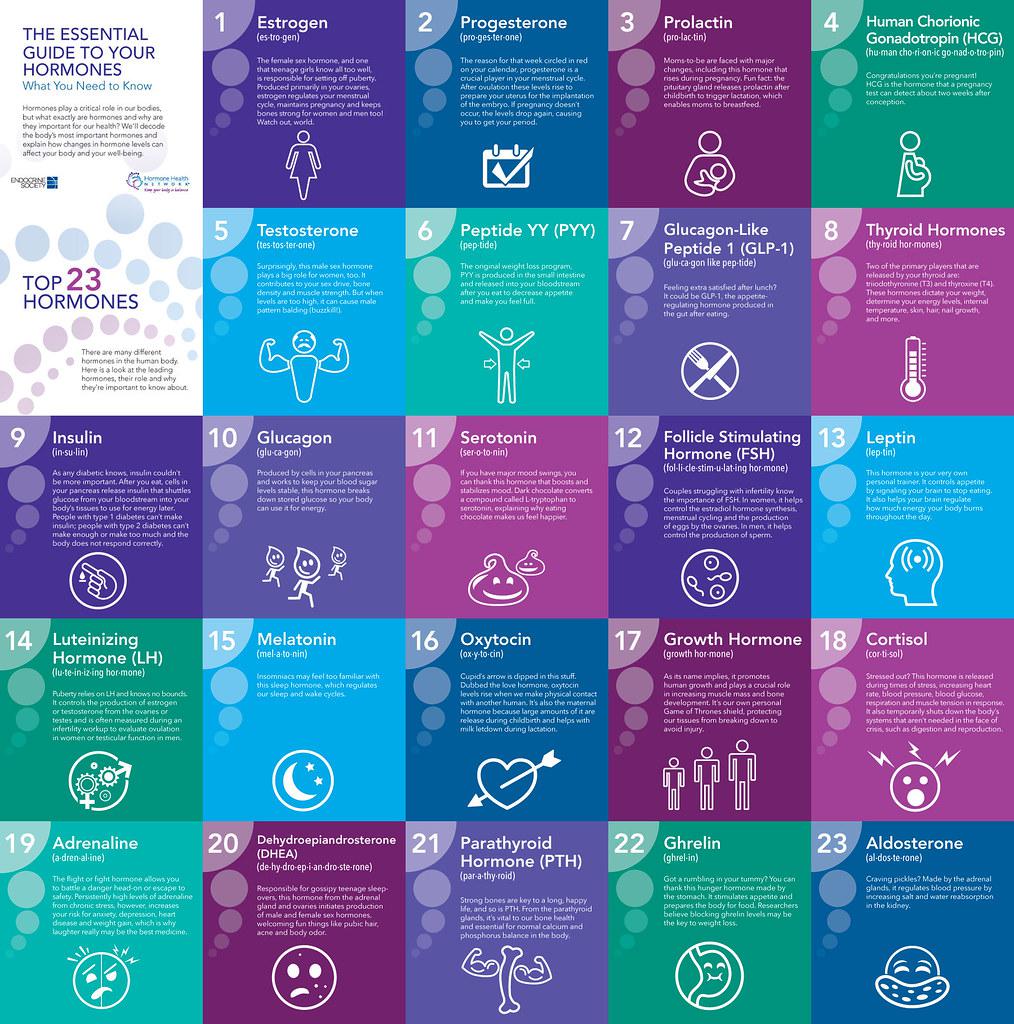 Essential Guide To Your Hormones Scrolller