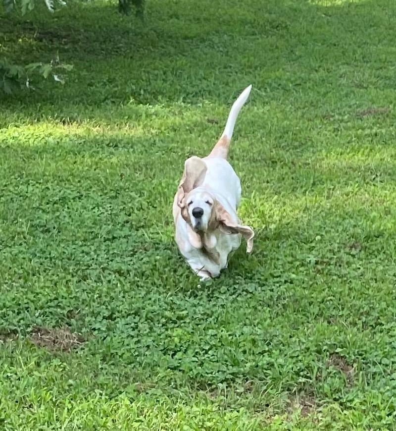 Esther in her most majestic form | Scrolller