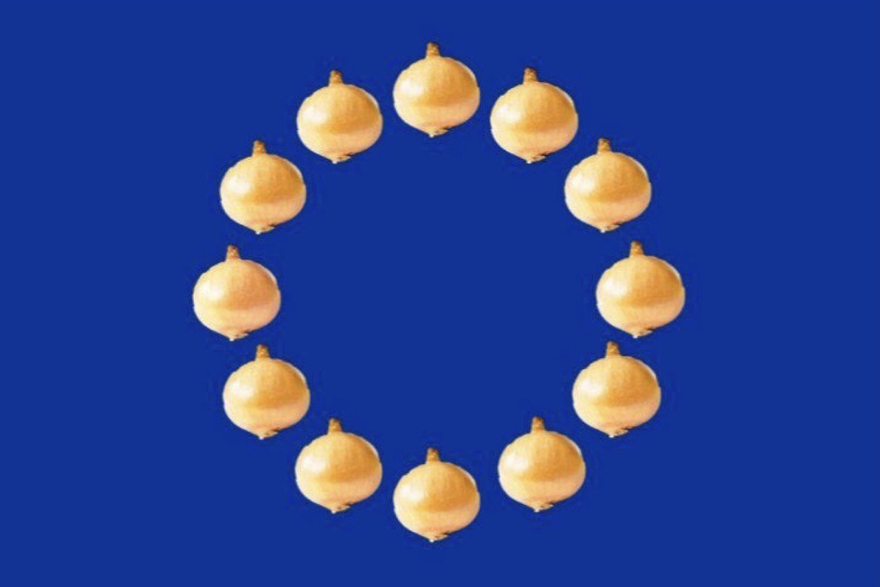 european onion RULE | Scrolller