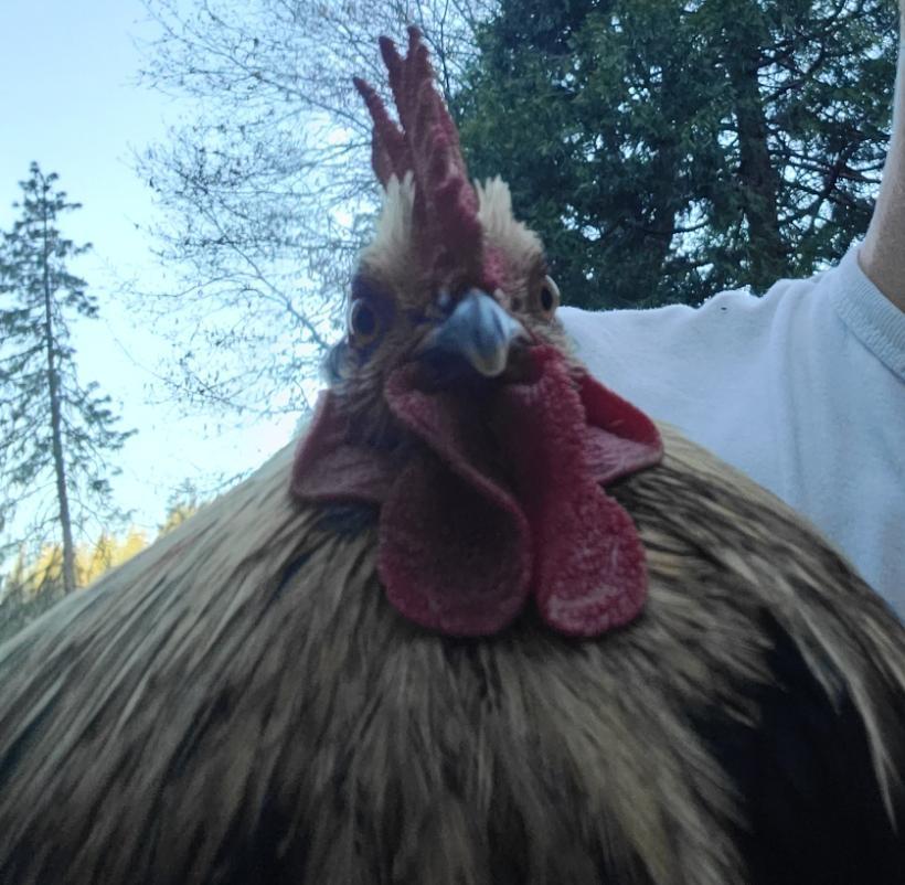 Even a handsome man can be rendered goofy by the front camera | Scrolller