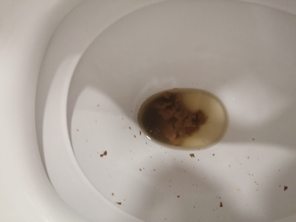 Evening shit | Scrolller