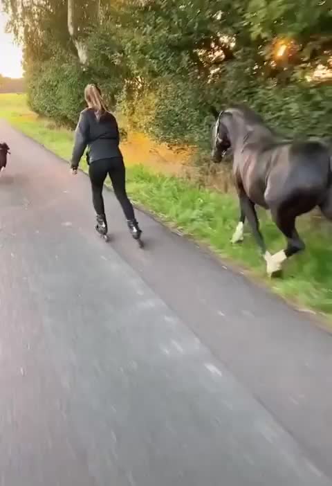 Evening stroll..... | Scrolller