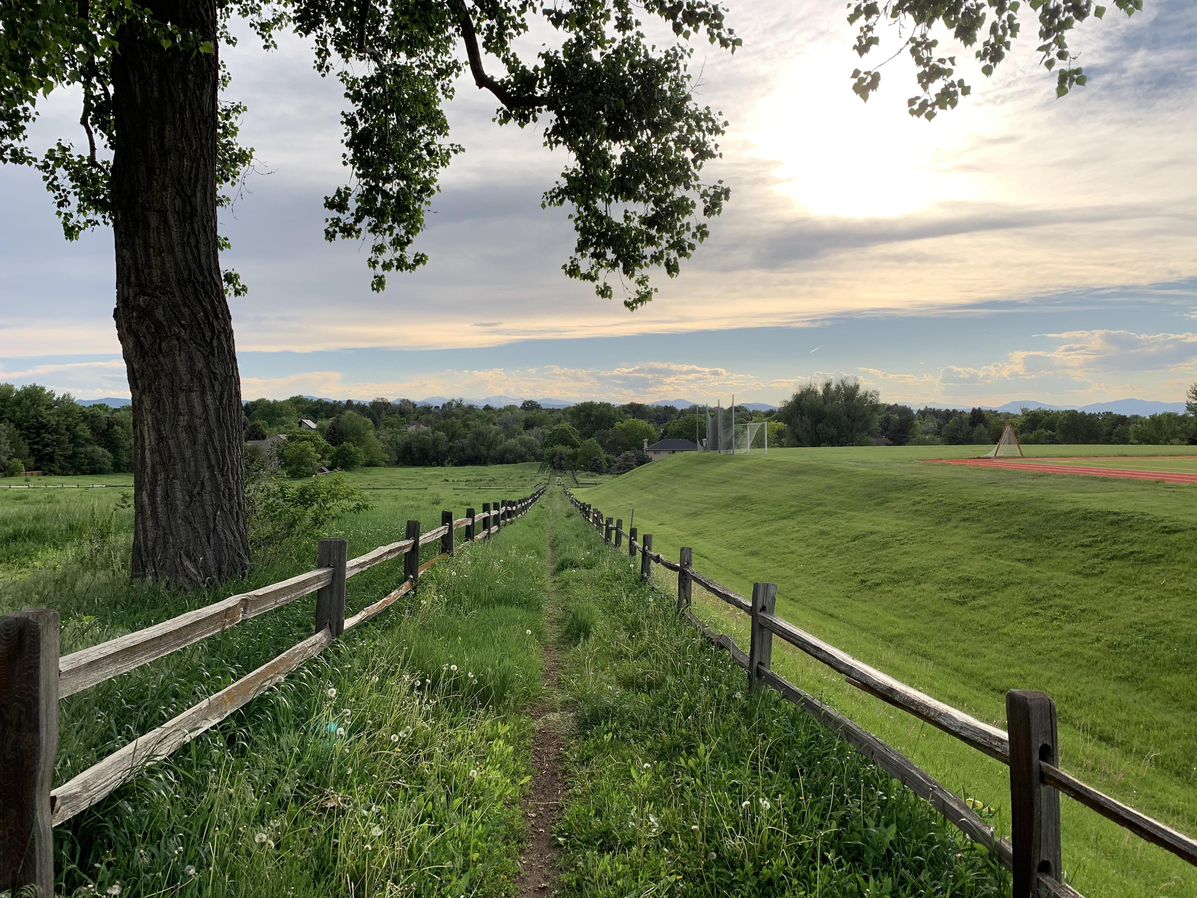 evening walk | Scrolller