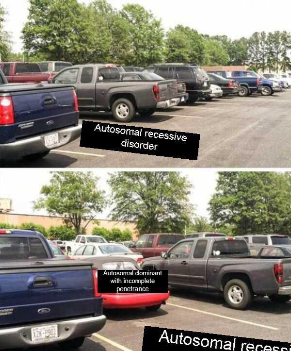 Every single damn vignette [OC] | Scrolller