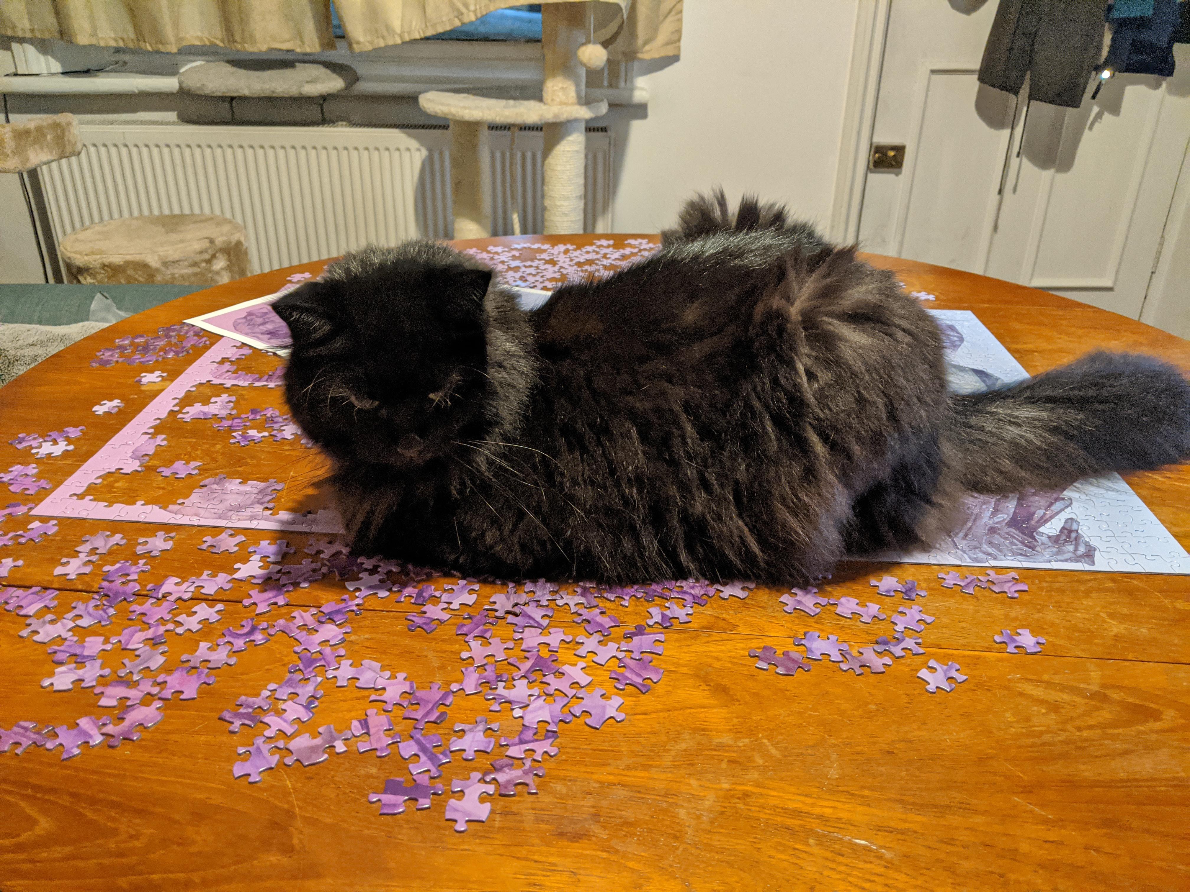 Every single time. | Scrolller