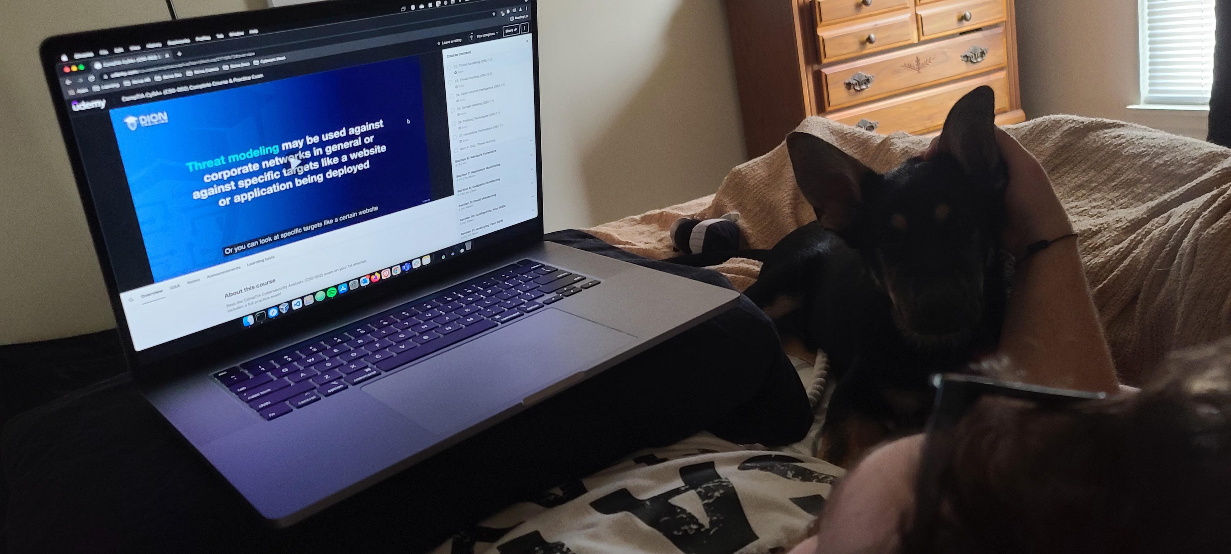 Everyone needs a study buddy | Scrolller