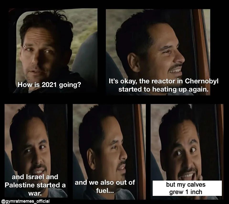 Everything is fine | Scrolller