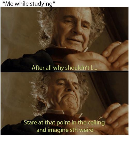 Everything is so InTeReStInG!!!! | Scrolller