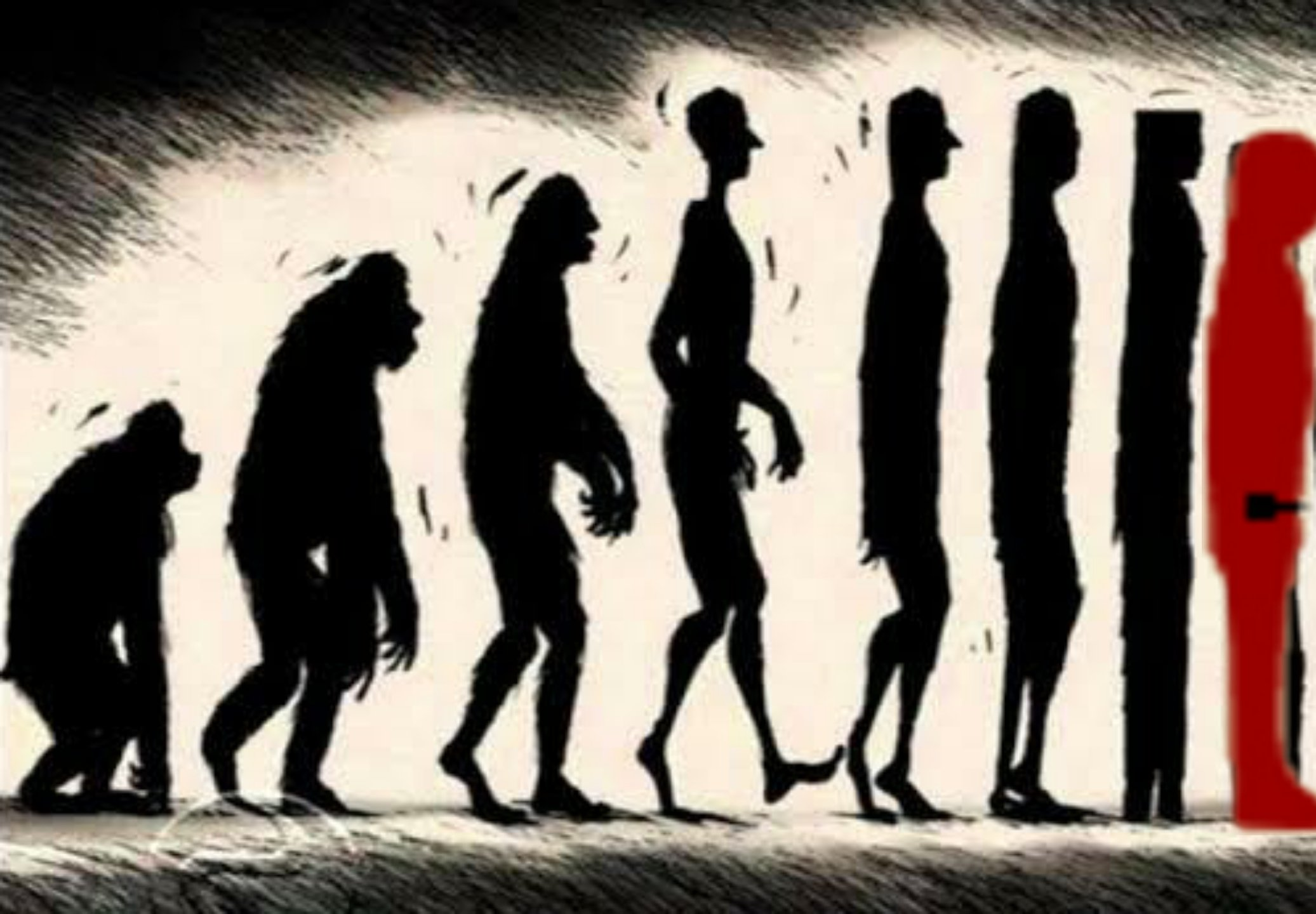 Evolution | Scrolller