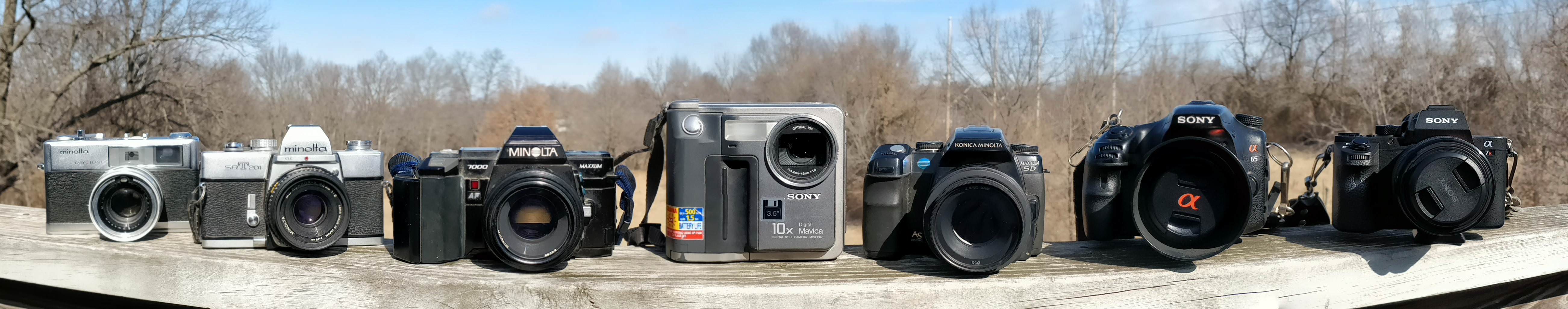 Evolution | Scrolller