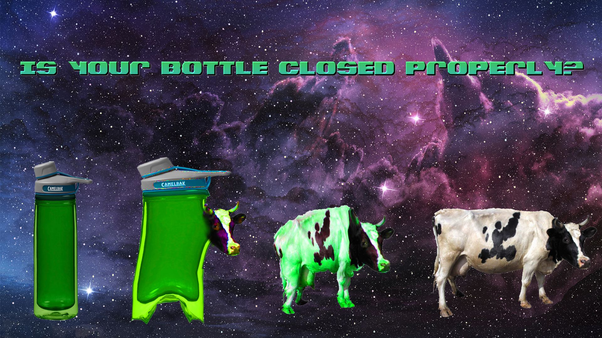 Evolution finally proven | Scrolller