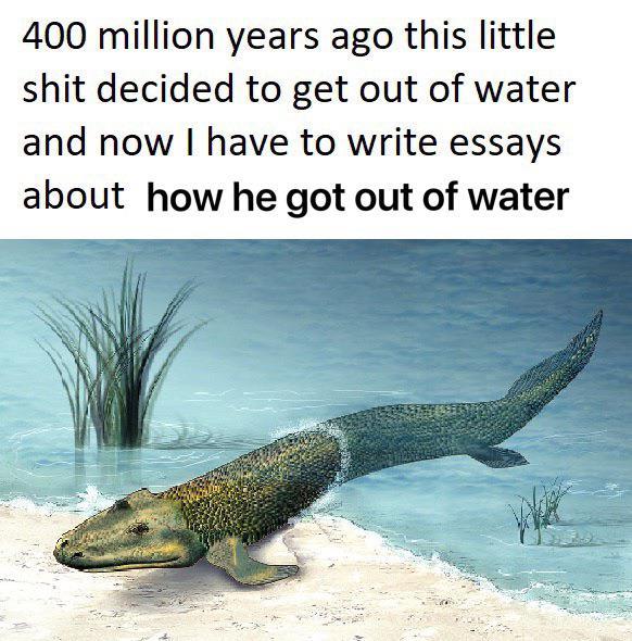 Evolution goes brrr | Scrolller