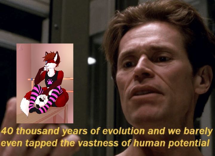 Evolution_irl | Scrolller