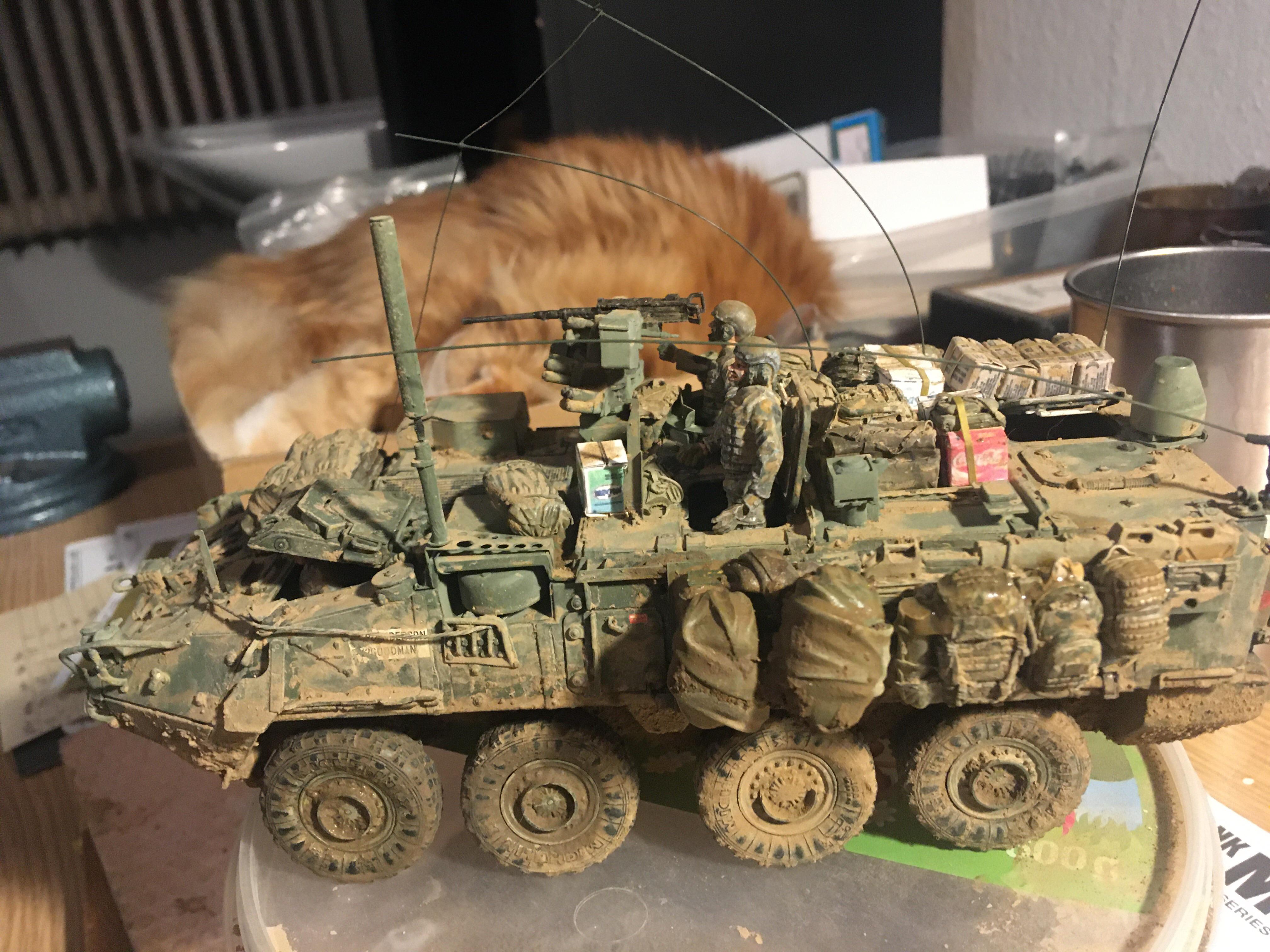 Excessively muddy Stryker | Scrolller