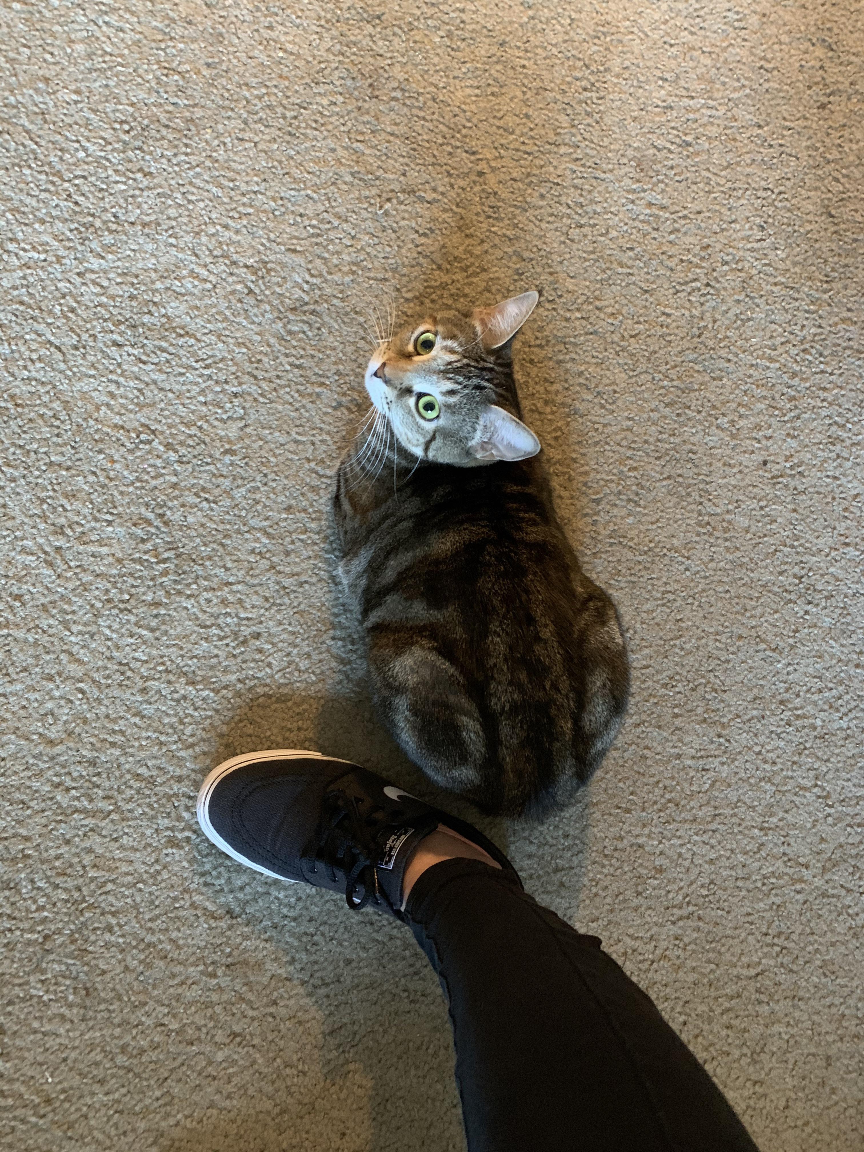 Excuse me ma’am.. I’m trying to exercise here. | Scrolller