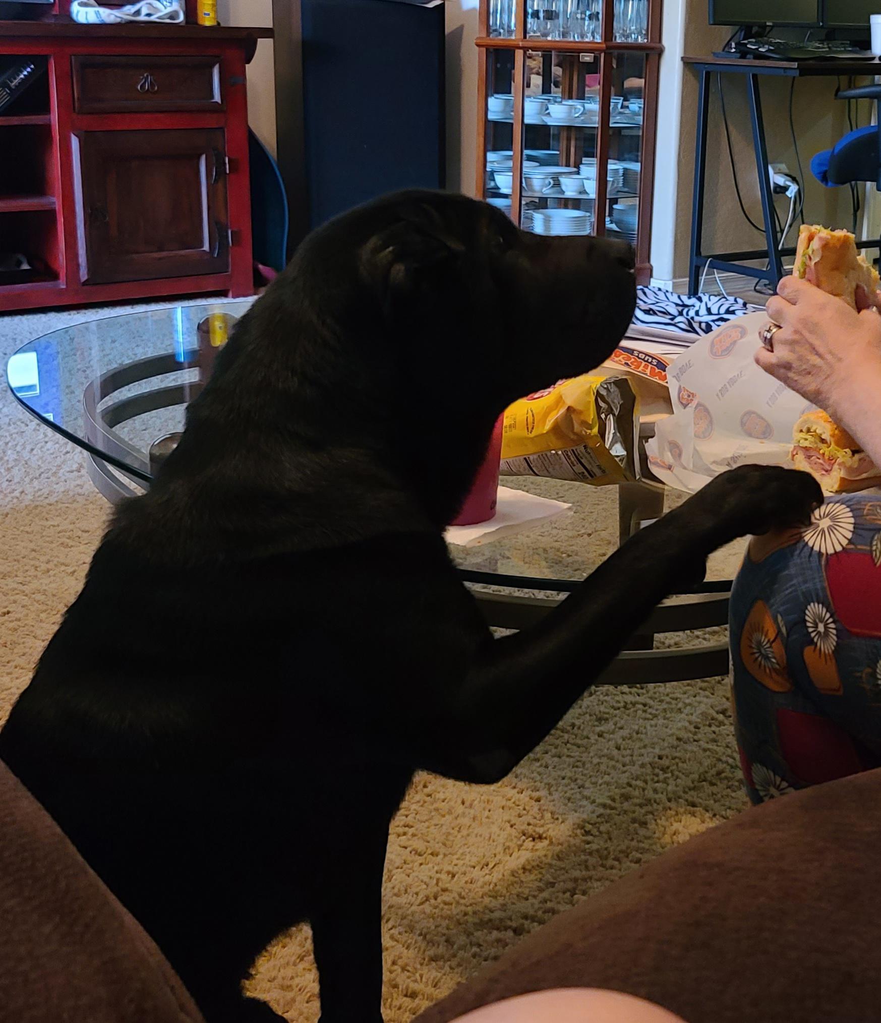 "Excuse me Mommy, whatcha eating?" | Scrolller