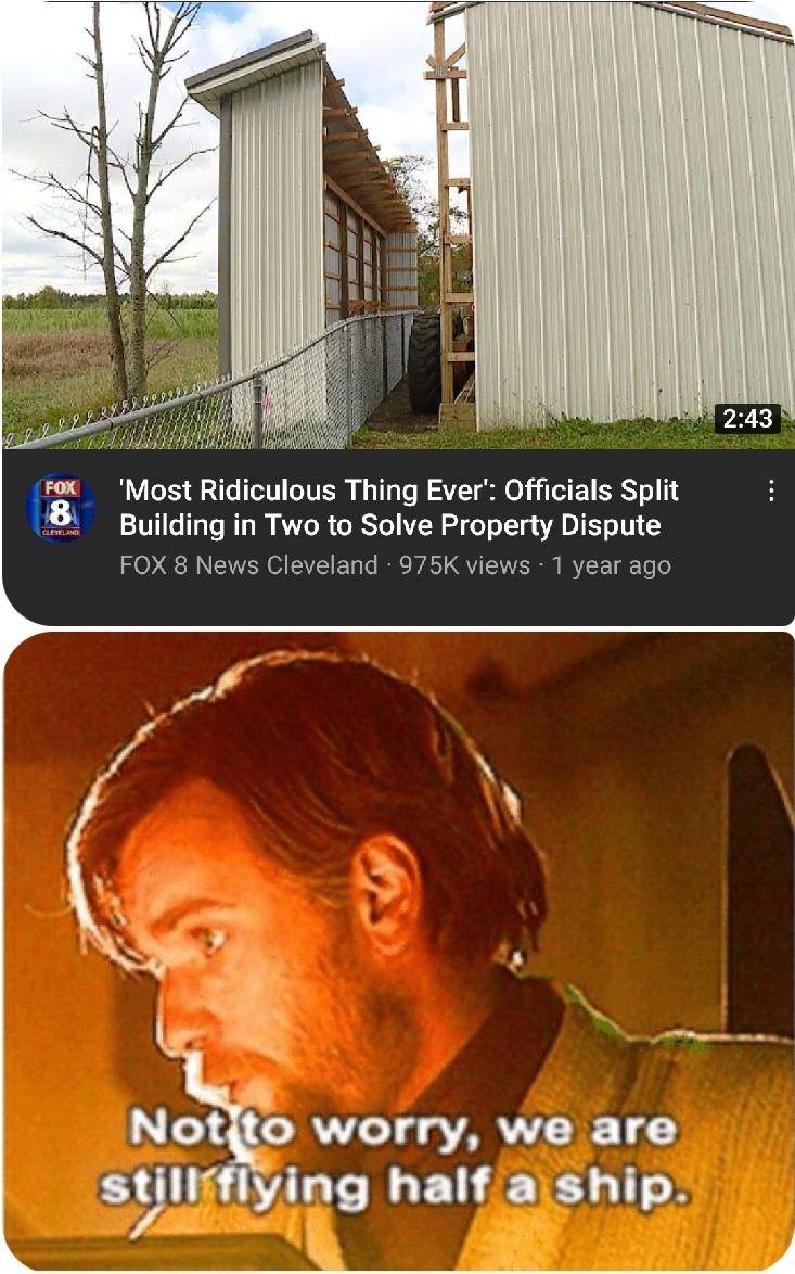 Execute bylaw 66 | Scrolller