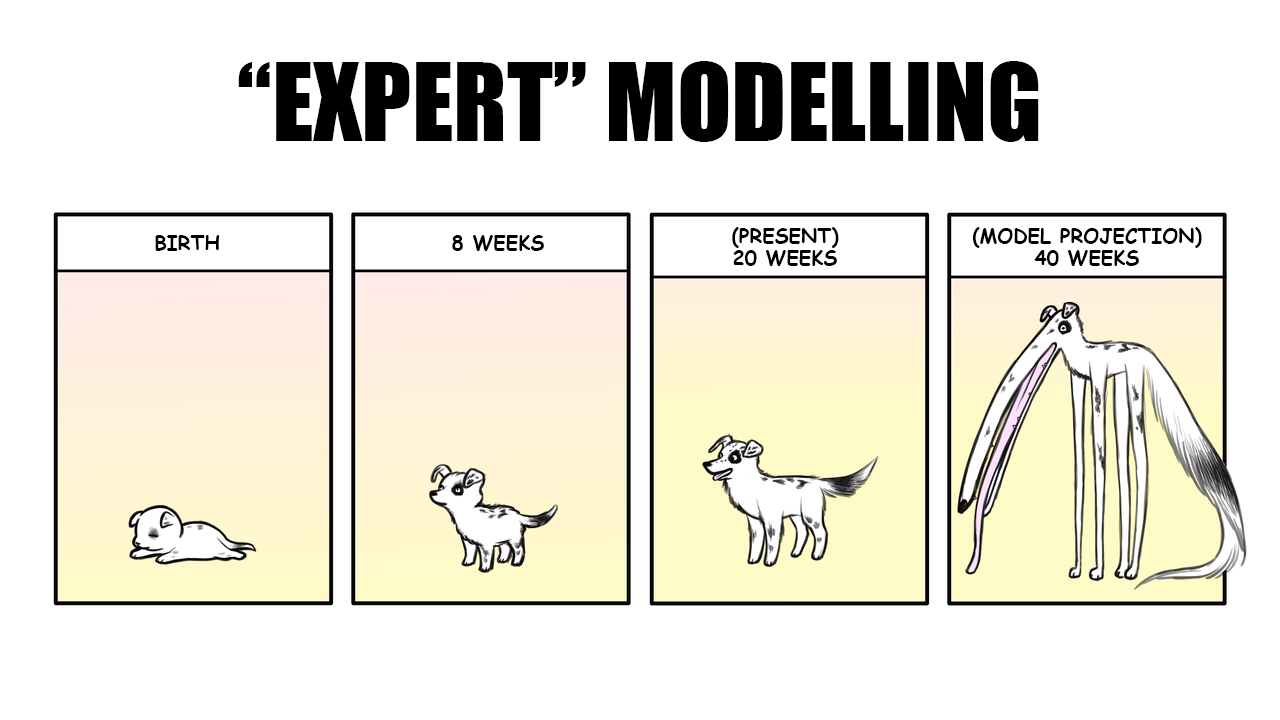 Expert Modelling | Scrolller