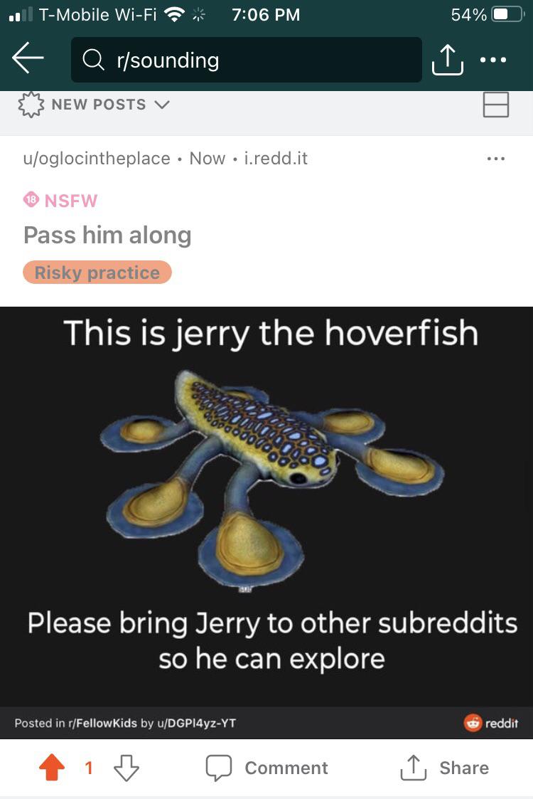 Explore this jerry | Scrolller