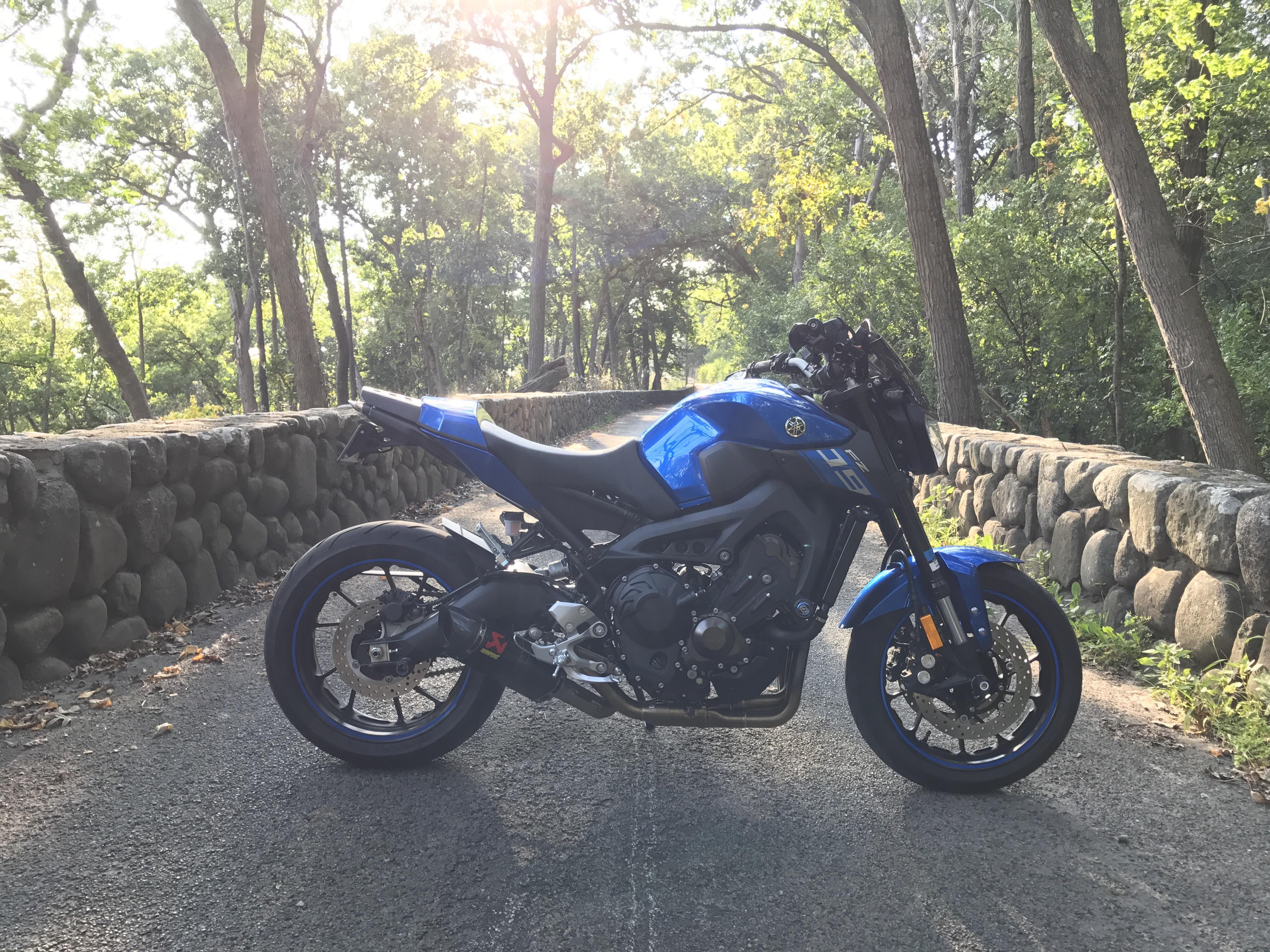 Exploring the Forest | Scrolller