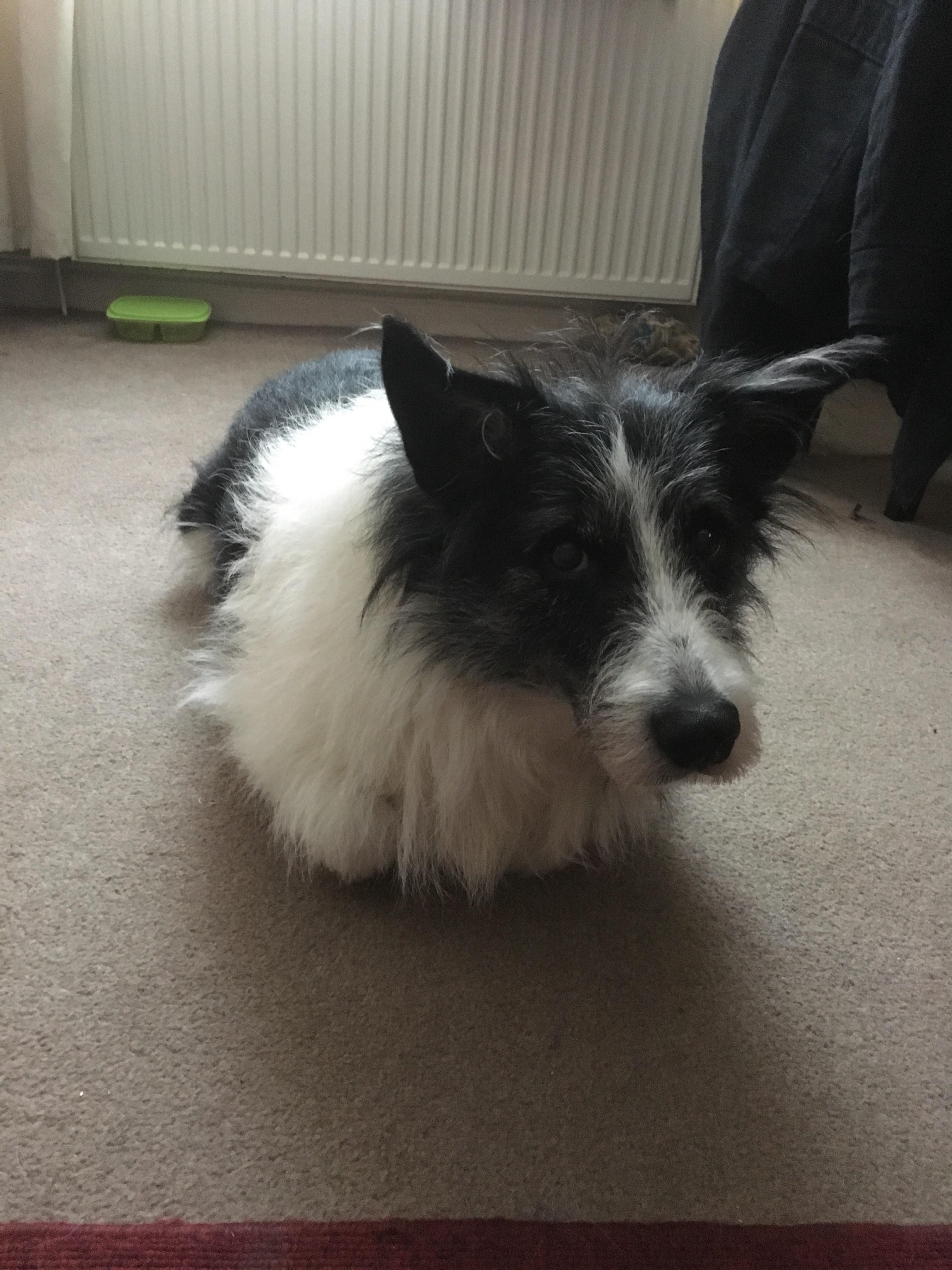 Extra fluffy loaf | Scrolller