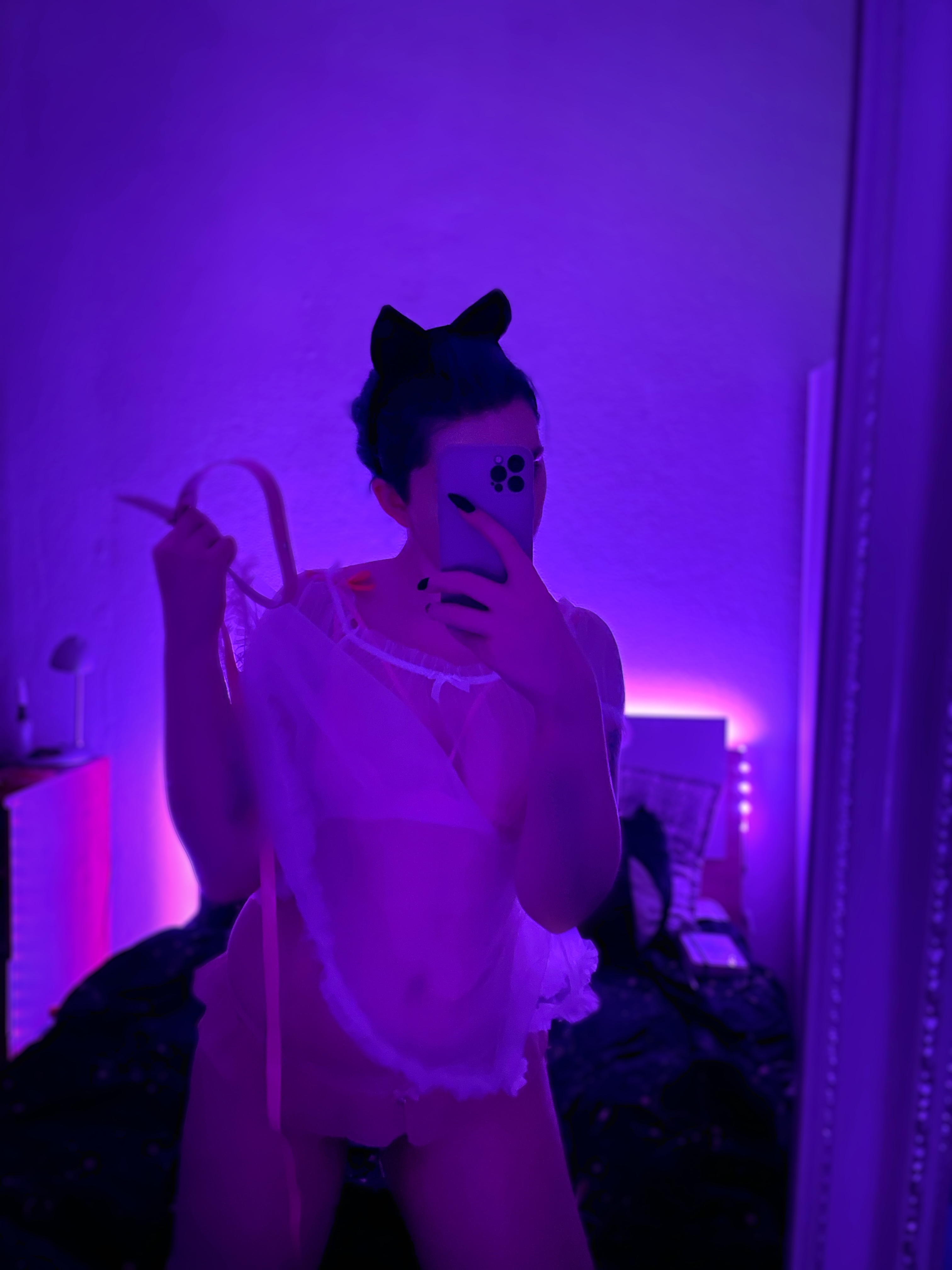 [F] Do you want to go on a walk with your Queen Kitty? | Scrolller