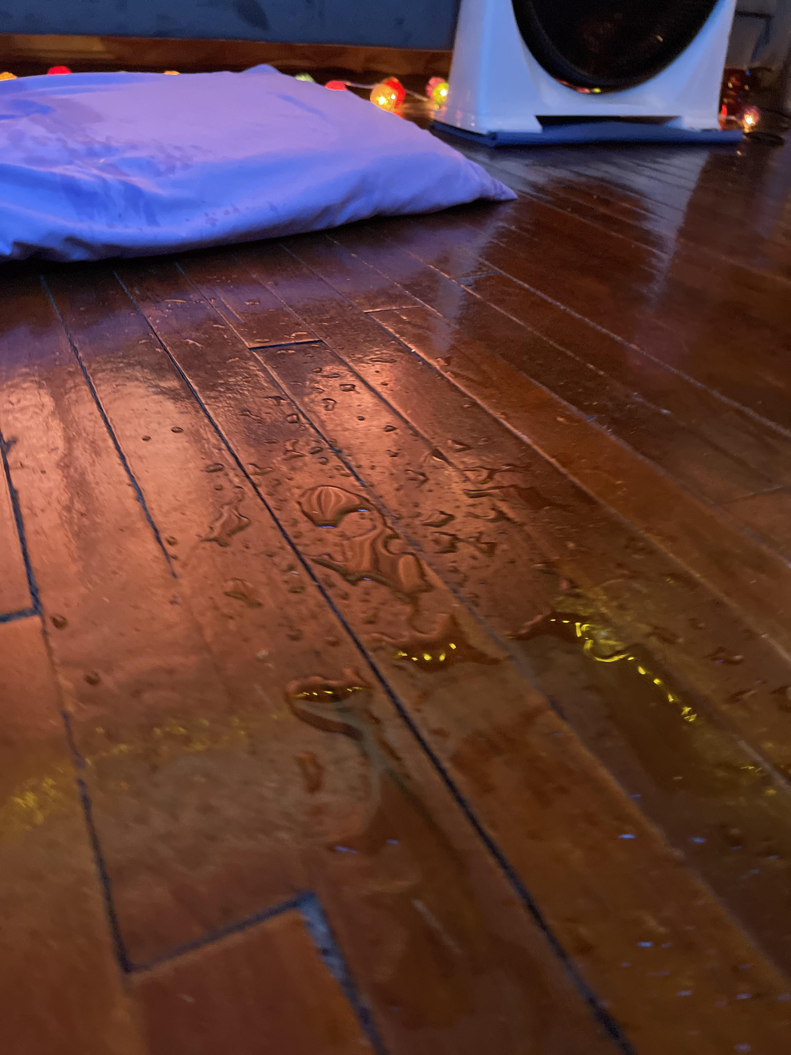 (F) My squirting aftermath 💦 | Scrolller