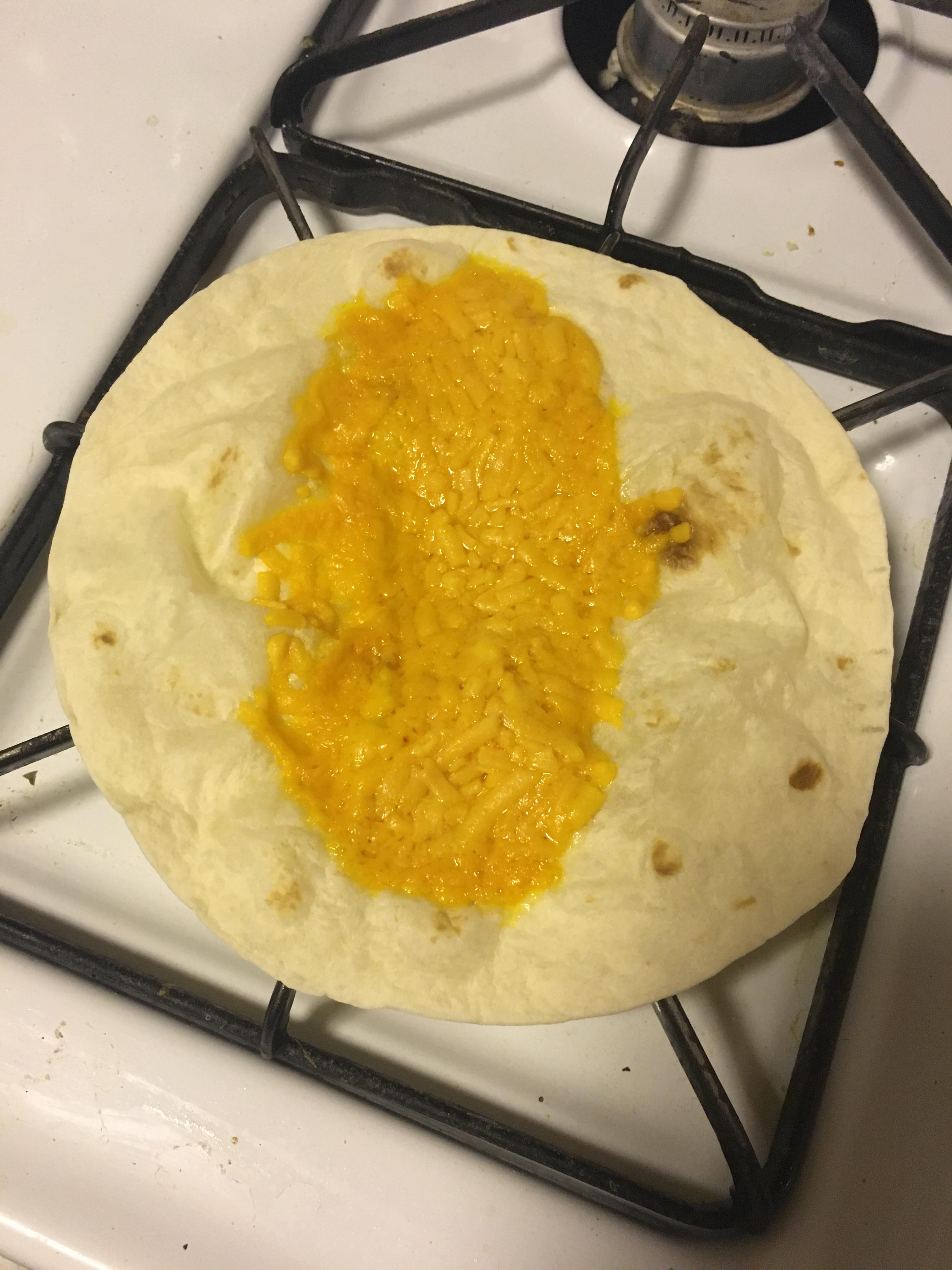 Fake cheese microwaved on a tortilla | Scrolller