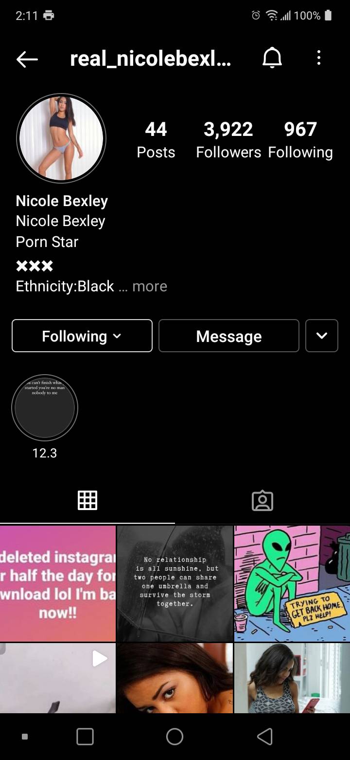 fake Instagram | Scrolller