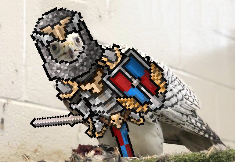 Falcon In A Falcon Set Scrolller