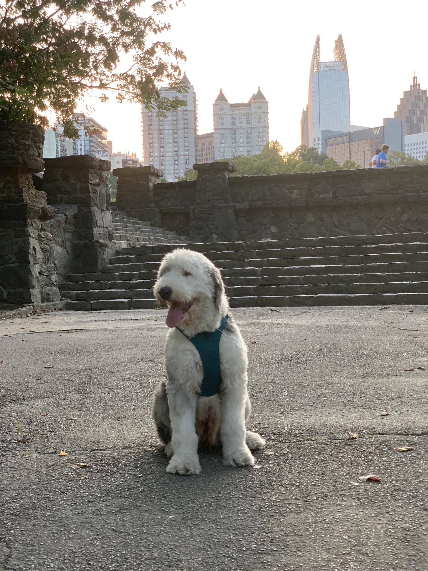 Fall in the city. | Scrolller