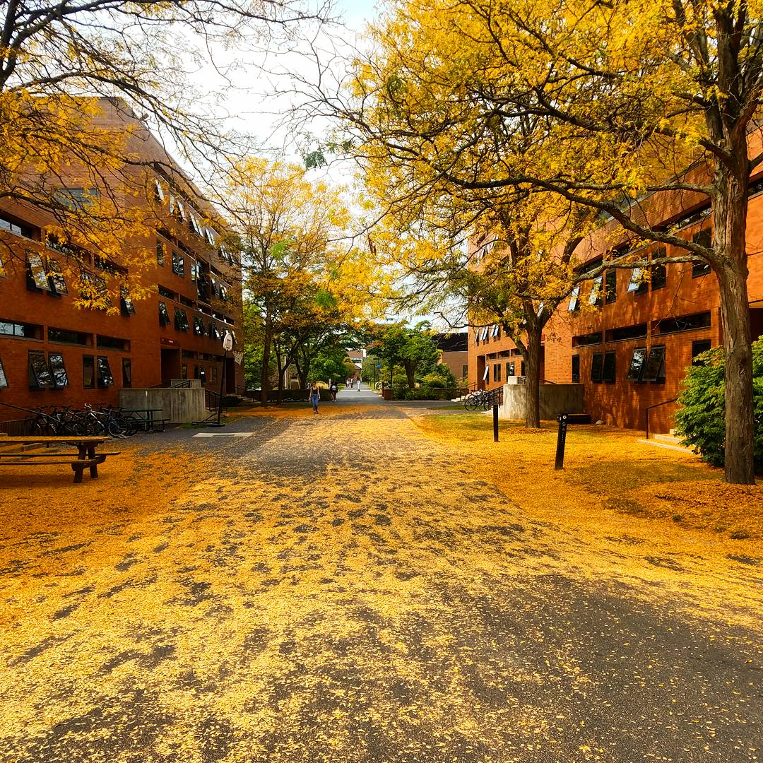 Fall is here! | Scrolller