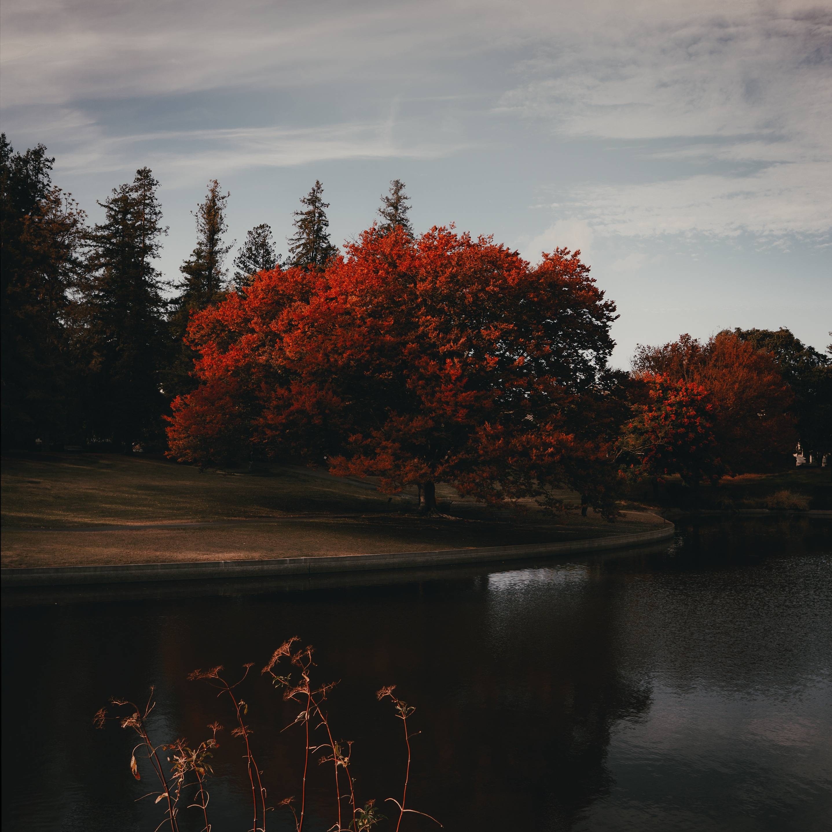 Fall vibes | Scrolller