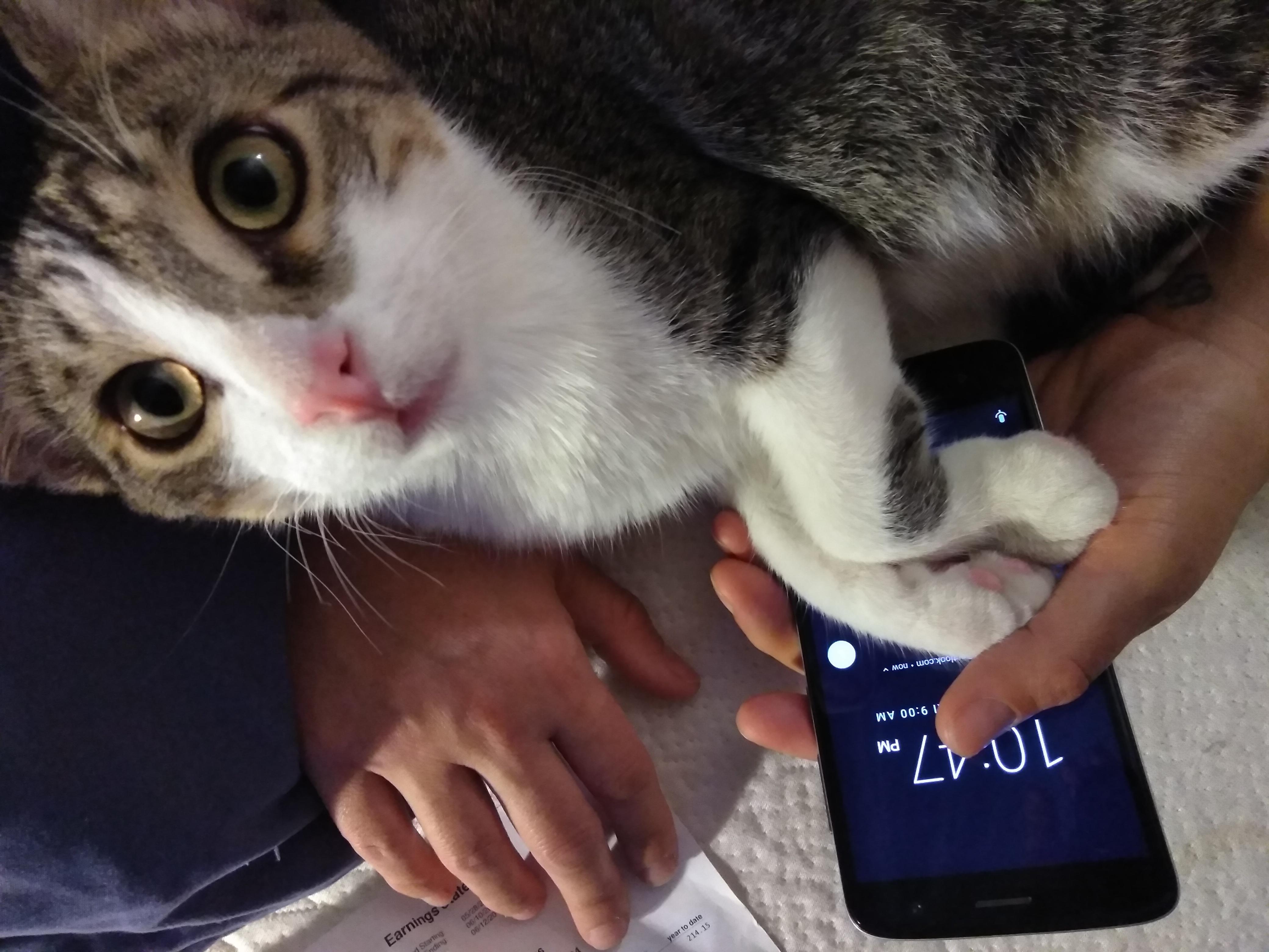 Fancy feets | Scrolller