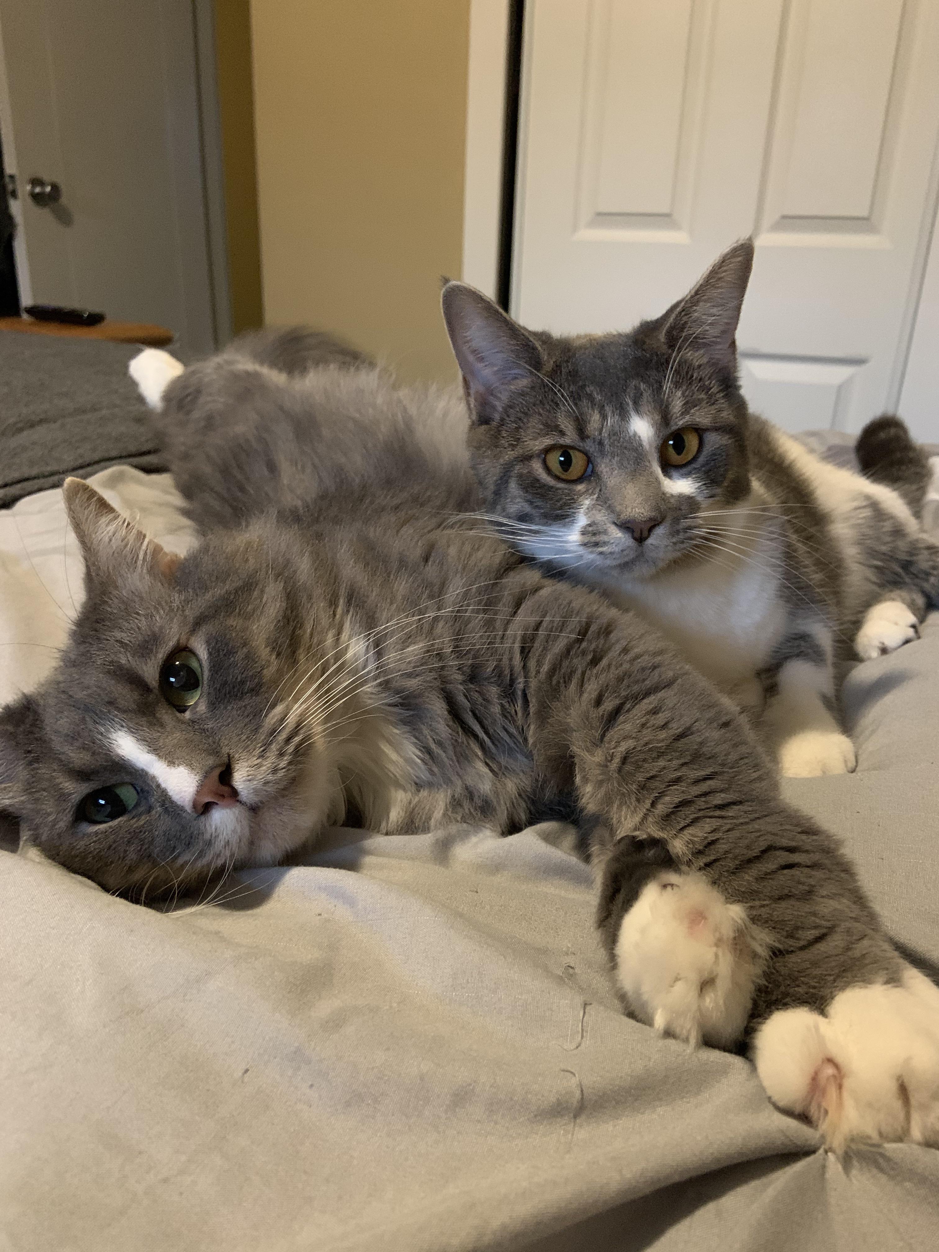 Father And Daughter Scrolller