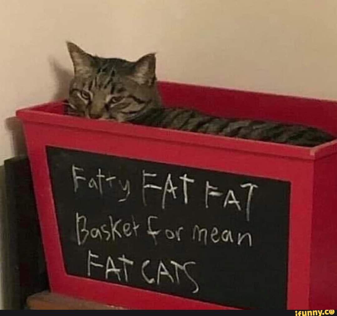 fatty fat fat | Scrolller