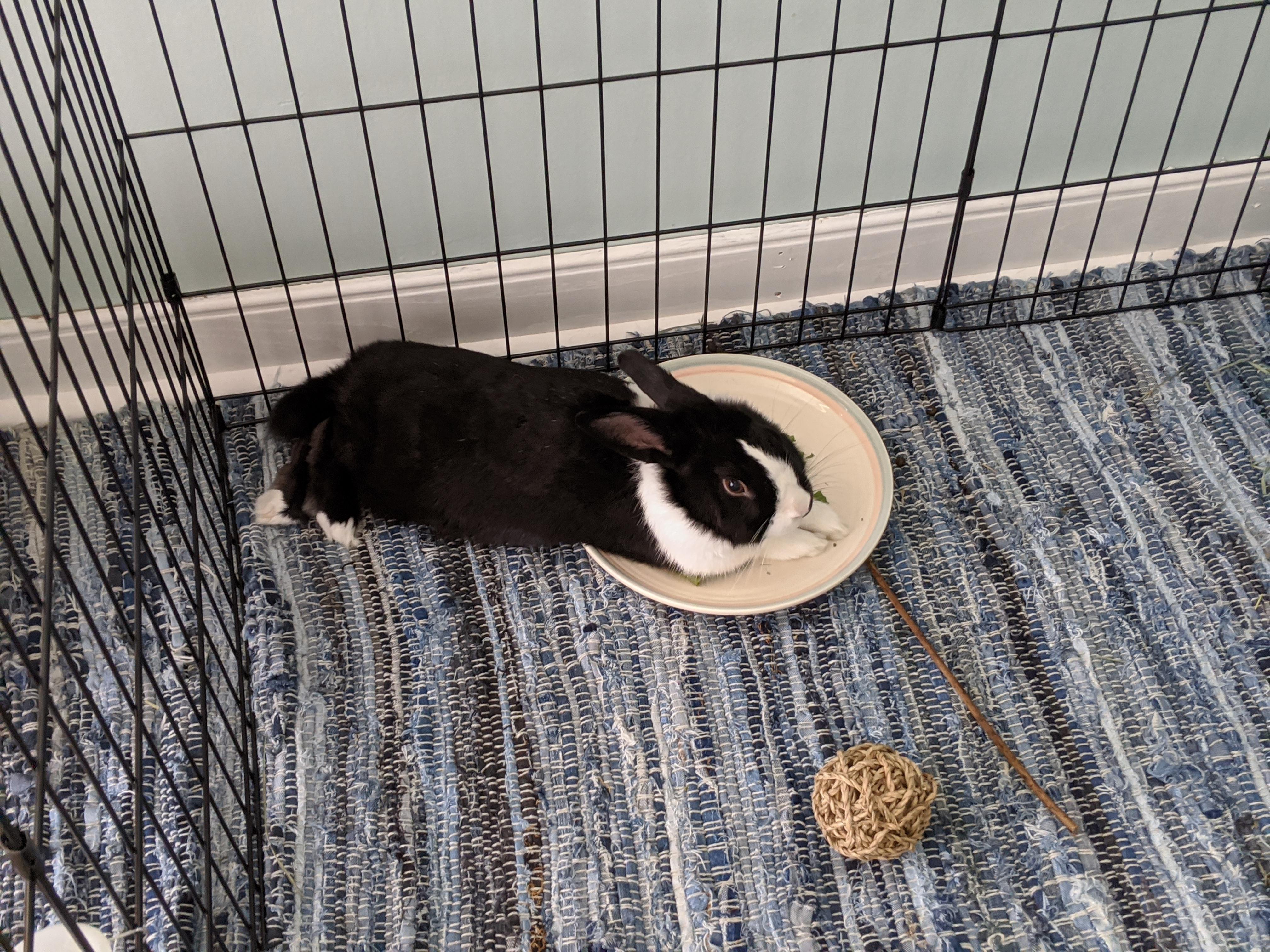 Favorite bed for food coma. | Scrolller