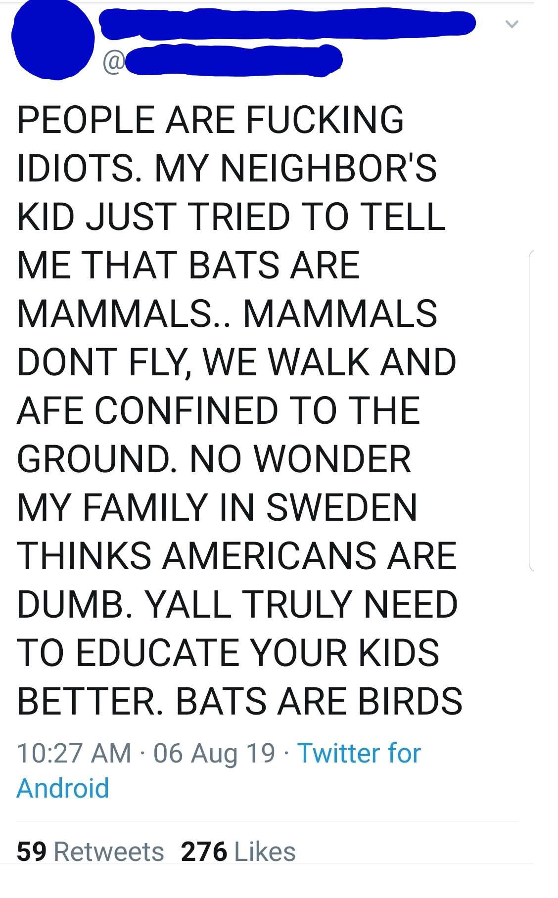 Feathered bats. | Scrolller