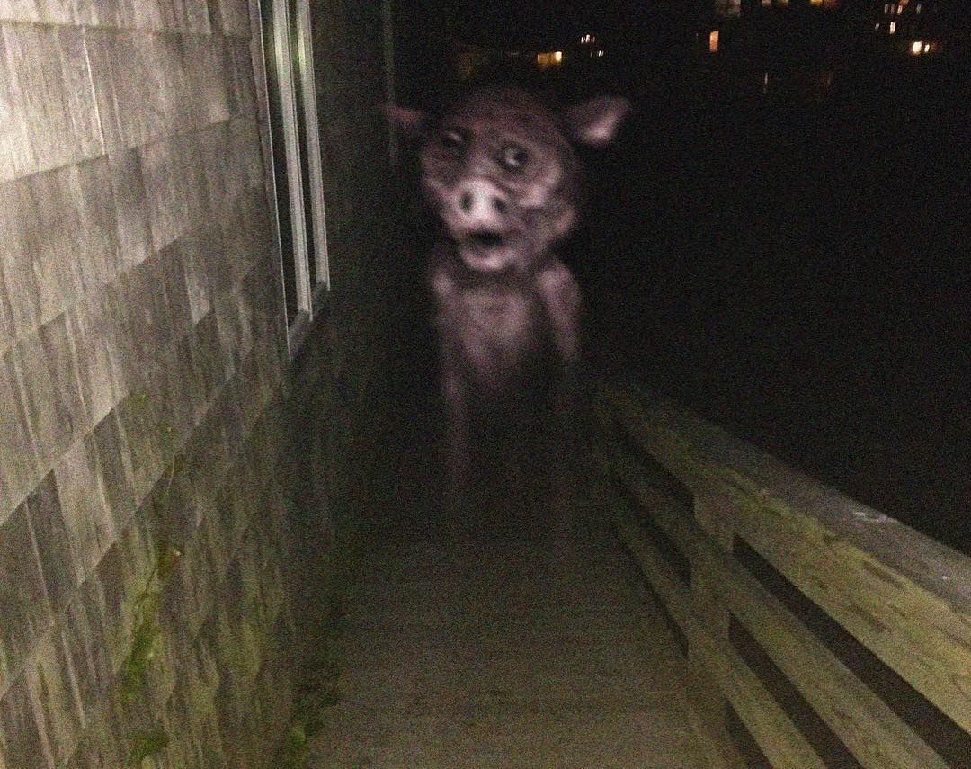 Feed him | Scrolller