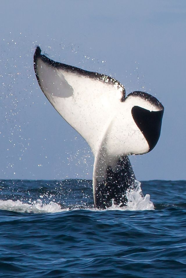 Feel the details | Scrolller